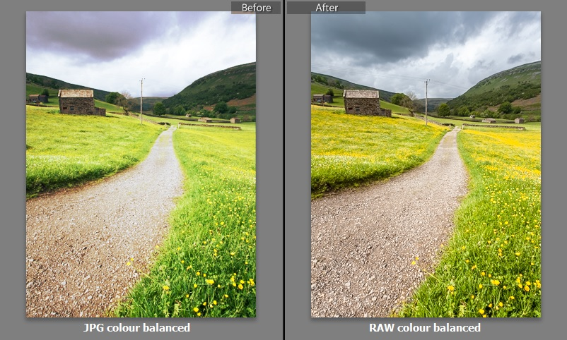 Alasan Fotografer Lebih Pilih Format RAW - Bali Sony Rent - Landscapeaero