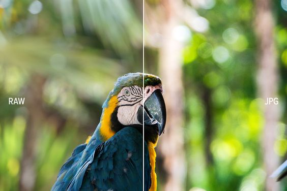 Alasan Fotografer Lebih Pilih Format RAW - Bali Sony Rent - Landscapeaero