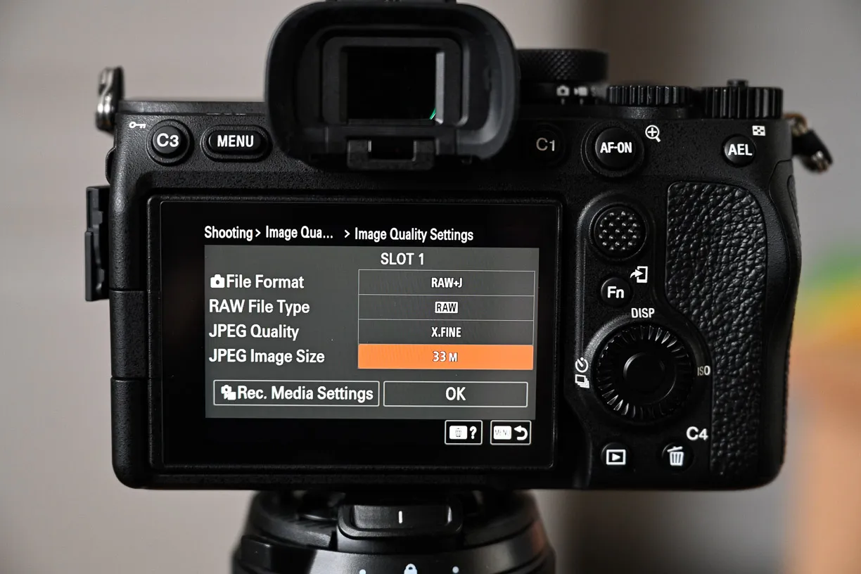 Alasan Fotografer Lebih Pilih Format RAW - Bali Sony Rent - Landscapeaero
